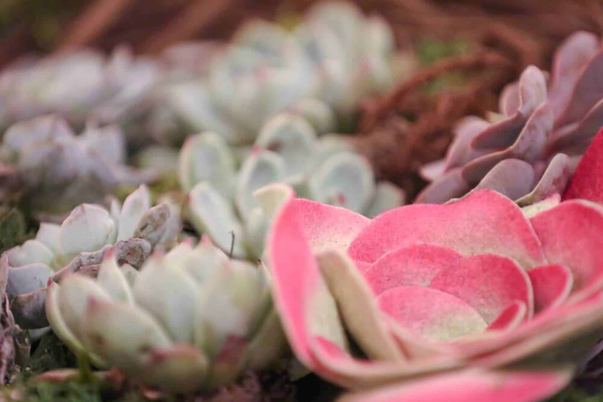 Home - Shiftconmedia